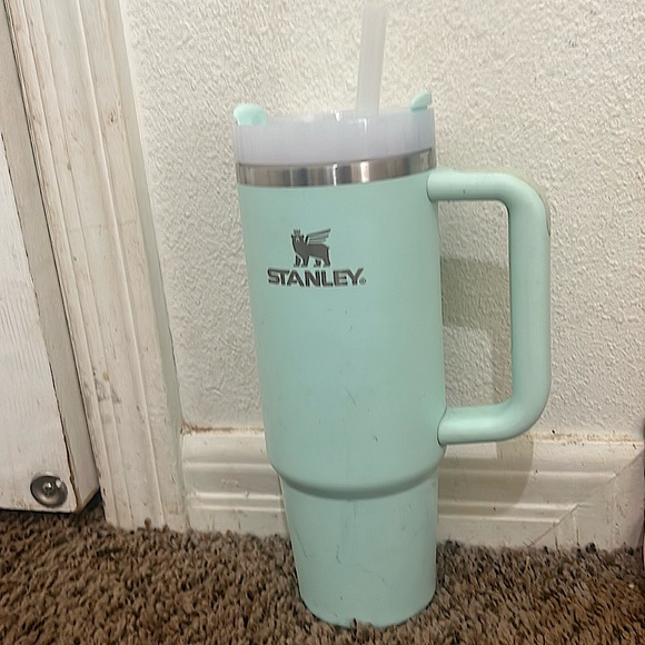 Stanley | Accessories | Used 11 Times Mint Green 30oz887ml Manufactured ...